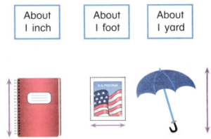 enVision Math Common Core Grade 2 Answer Key Topic 12 Measuring Length ...