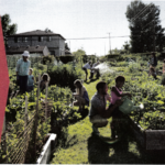 enVision Math Common Core Grade 3 Answer Key Topic 6 Connect Area to ...