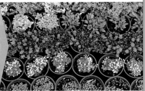 enVision Math Common Core Grade 4 Answer Key Topic 7 Factors and ...