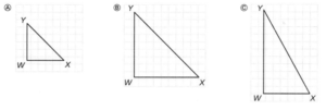 enVision Math Common Core Grade 7 Answer Key Topic 8 Solve Problems ...