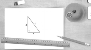 enVision Math Common Core Grade 8 Answer Key Topic 7 Understand And ...