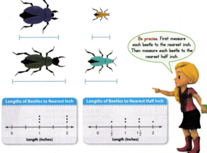 Envision Math Common Core Grade 3 Answer Key Topic 12 Understand ...