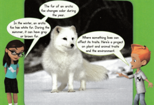 enVision Math Common Core Grade 3 Answer Key Topic 8 Use Strategies and ...