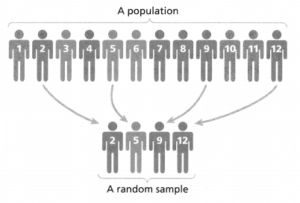 enVision Math Common Core Grade 7 Answer Key Topic 6 Use Sampling To ...