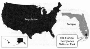 enVision Math Common Core Grade 7 Answer Key Topic 6 Use Sampling To ...