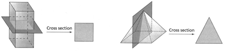 enVision Math Common Core Grade 7 Answer Key Topic 8 Solve Problems ...