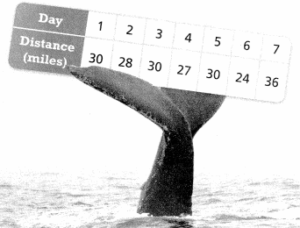 enVision Math Common Core Grade 8 Answer Key Topic 3 Use Functions To ...