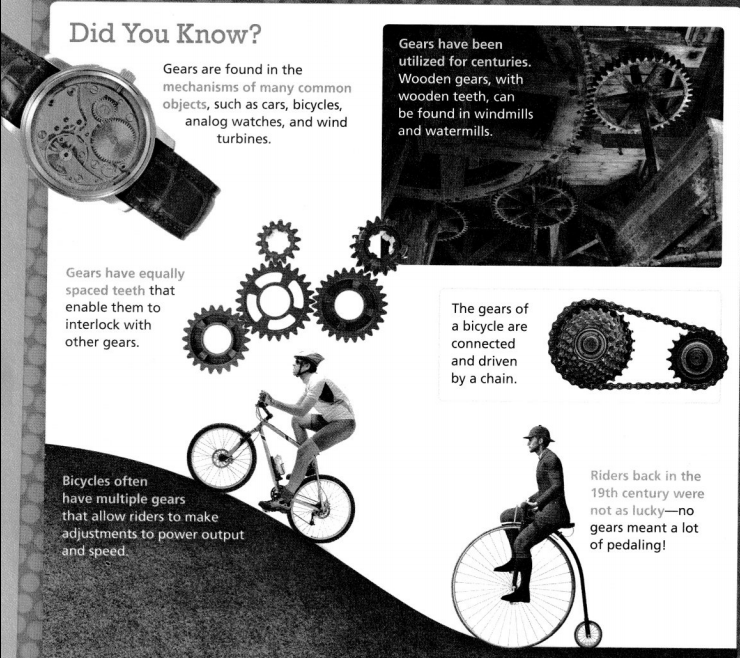 EnVision Math Common Core Grade 6 Answer Key Topic 5 Understand And Use