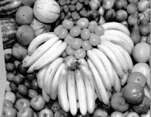 enVision Math Common Core Grade 5 Answer Key Topic 6 Use Model ...