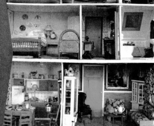 enVision Math Common Core Grade 5 Answer Key Topic 6 Use Model ...