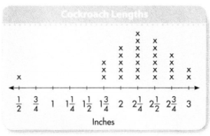 enVision Math Common Core Grade 5 Answer Key Topic 10 Represent and ...