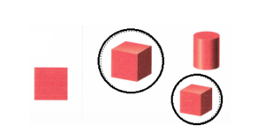 enVision Math Common Core Kindergarten Answer Key Topic 13 Analyze ...