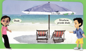 enVision Math Common Core Kindergarten Answer Key Topic 14 Describe and ...