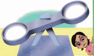 enVision Math Common Core Kindergarten Answer Key Topic 14 Describe and ...