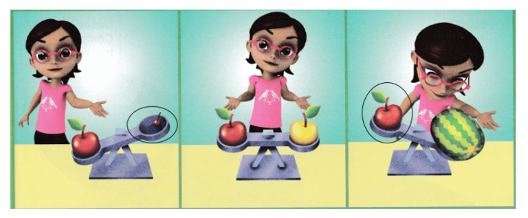 enVision Math Common Core Kindergarten Answer Key Topic 14 Describe and ...