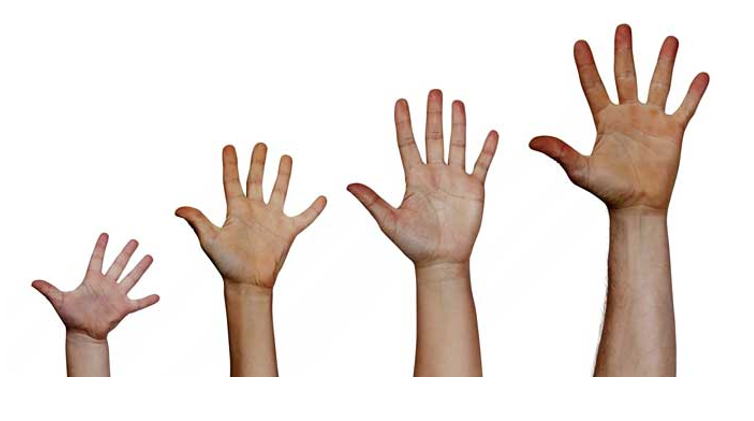 enVision Math Common Core Kindergarten Answer Key Topic 14 Describe and ...