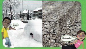 enVision Math Common Core Kindergarten Answer Key Topic 2 Compare ...