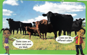 Envision Math Common Core Kindergarten Answer Key Topic 5 Classify and ...