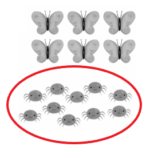 Envision Math Common Core Kindergarten Answer Key Topic 5 Classify and ...