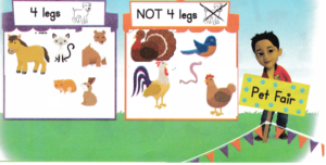 Envision Math Common Core Kindergarten Answer Key Topic 5 Classify and ...