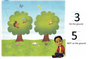 Envision Math Common Core Kindergarten Answer Key Topic 5 Classify and ...