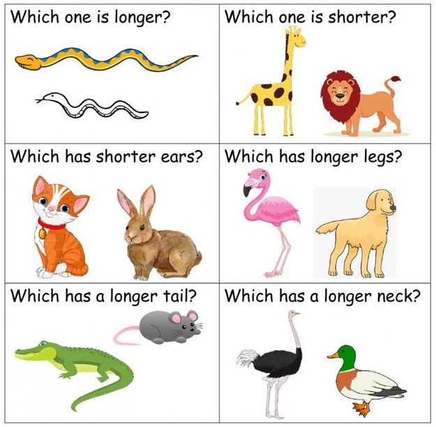 enVision Math Common Core Kindergarten Answer Key Topic 14 Describe and ...