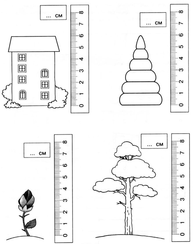 enVision Math Common Core Grade 2 Answer Key Topic 12 Measuring Length ...